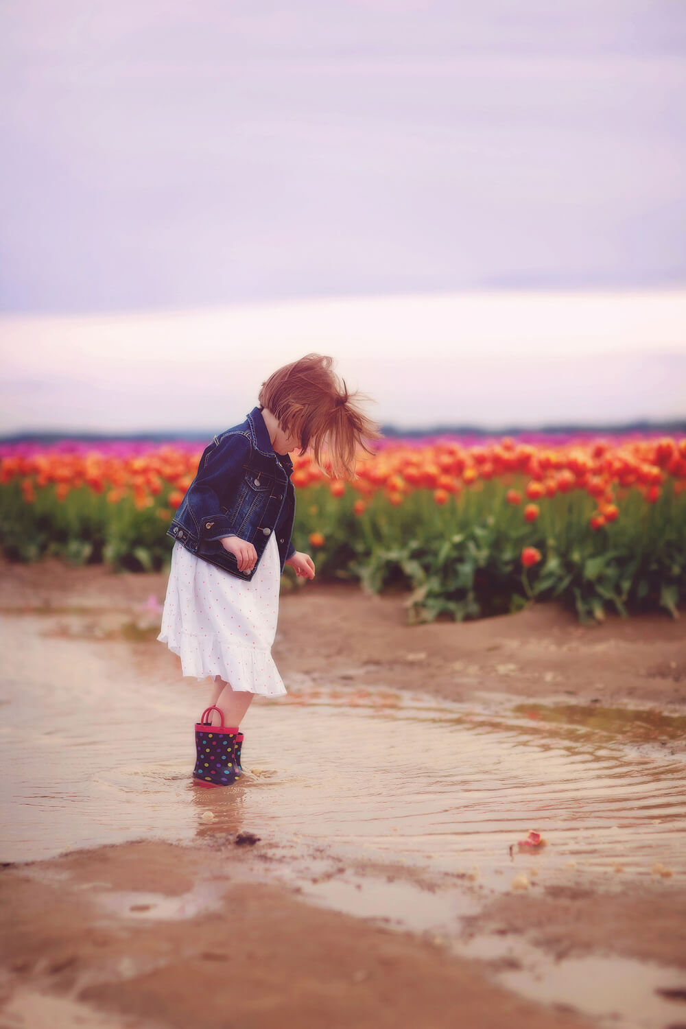 Sarah Wolfe Photography » In the Tulip Field - Sarah Wolfe Photography